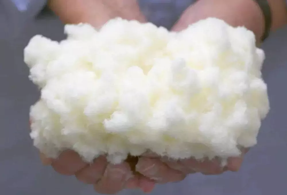 An overview about fluff pulp - JHC Raw Material